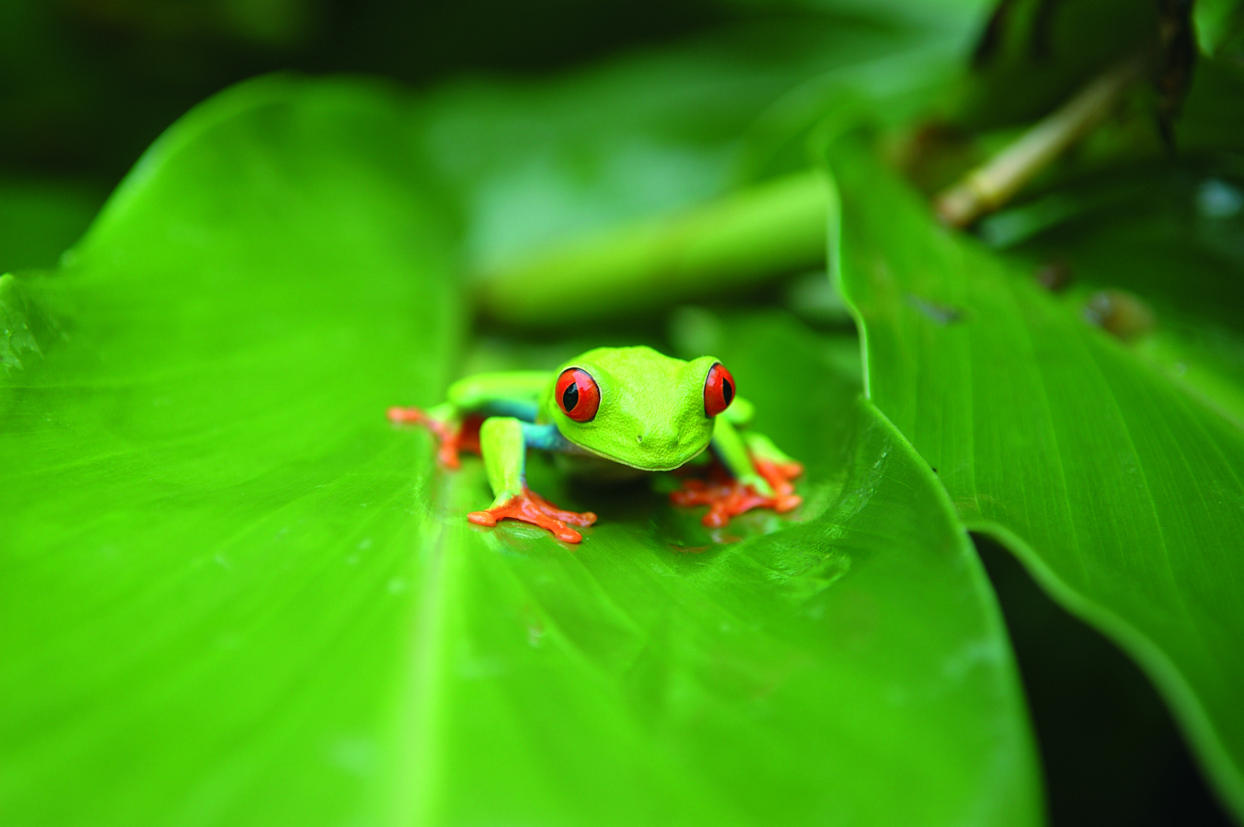 Stef Biemans: ‘Authenticiteit is fijn, maar een warme douche ook’